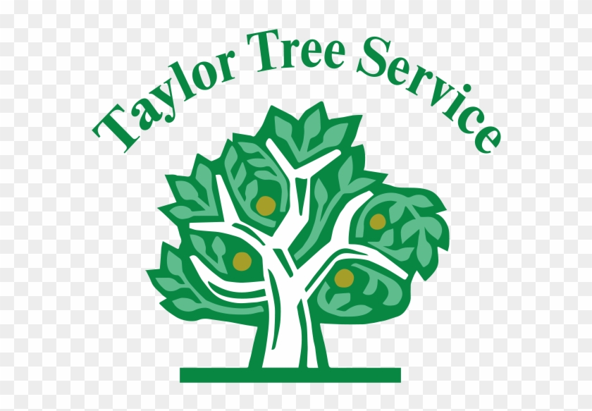 Taylor Tree Service - Wonderful Poetic Book [book] - Free Transparent ...